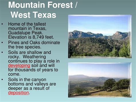 Ppt Texas Ecoregions Powerpoint Presentation Free Download Id 8715230