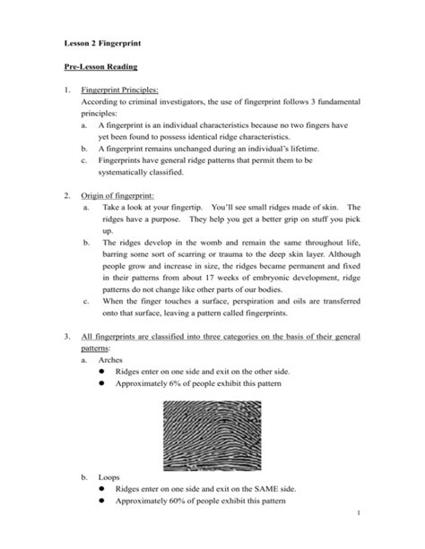 Fingerprint Analysis Worksheet Patterns And Identification