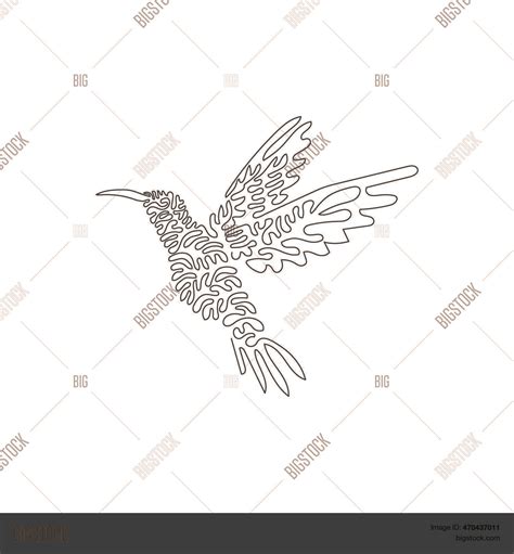 Continuous Curve One Vector And Photo Free Trial Bigstock