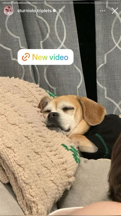 Trevor Sturniolo Triplets Instagram Story Trevor