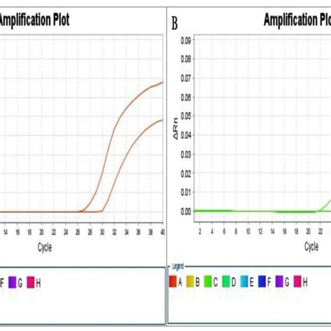 A This Figure Shows Erg 11gene Expression In Correlation With Act1