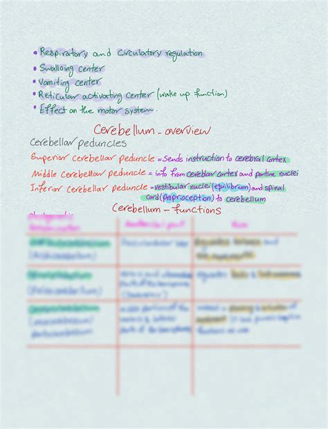 Solution Brain Stem Midbrain Mesencephalon Pons Medulla Oblongata And