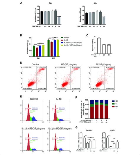 Pdgf Bb Alleviates Cell Cycle Arrest And Apoptosis In Np Cells A