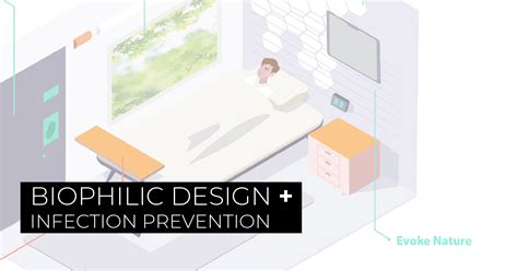 Integrating Infection Control And Biophilic Design Creating Healthier