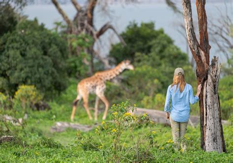 Crescent Island Naivasha Best Kept Secret Ease My Safari
