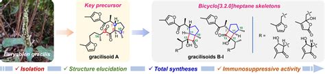 Discovery And Total Synthesis Of A New Class Of Minor Immunosuppressive Plant Sesterterpenoids