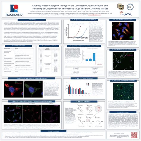 Pdf Antibody Based Analytical Assays For The Localization
