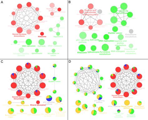 Kegg Functional Annotation Of De Genes In Cells Treated With Cki Download Scientific Diagram