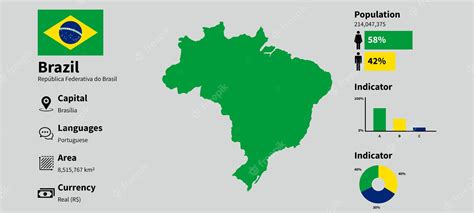 Premium Vector Brazil Infographic Vector Illustration With Accurate