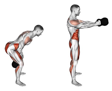 Exercices Avec Kettlebell Classés Par Groupe Musculaire