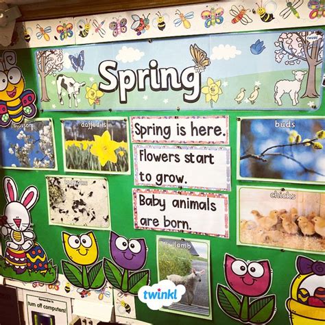 Spring Classroom Display Spring Classroom Spring Activities