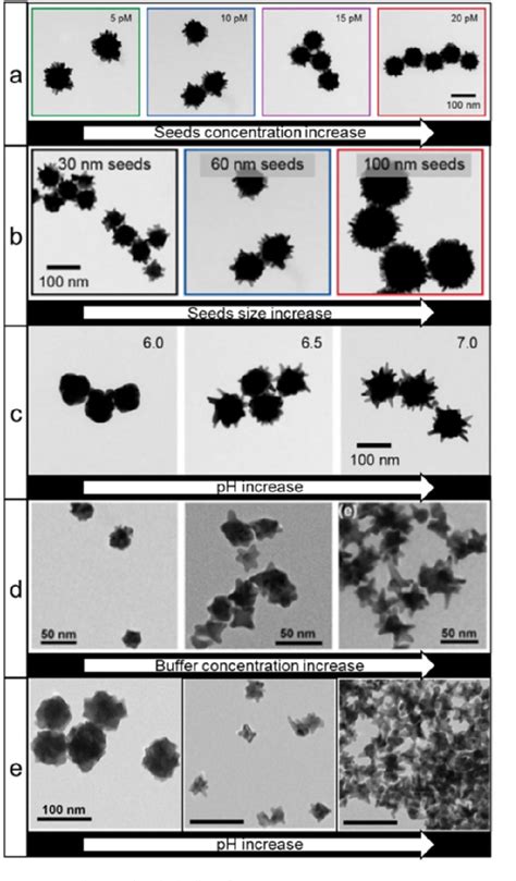 Figure 1 From Design And Synthesis Of Gold Nanostars Based Sers