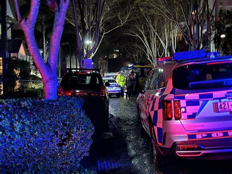 Sophie Wang Death Mother Yingying Xu Charged Everything We Know About