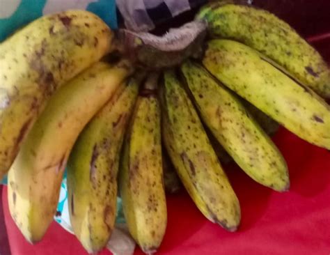 barangan banana ripeness classification dataset by barangan banana project