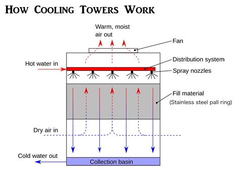 Metal Tower Packing Stainless Steel Pall Ring Oim Chemical