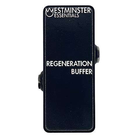 Westminster Essentials Regeneration Buffer Reverb