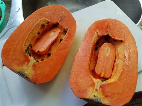 My Papaya Has A Mini Papaya In It R Mildlyinteresting