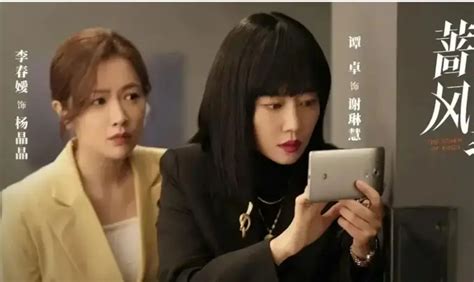 《蔷薇风暴》原来谢琳慧才是隐藏最深的人，难怪沈宗玉都被拉拢