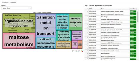 Visualization Of Treemap And Associated Dynamic Table Display Go Download Scientific Diagram