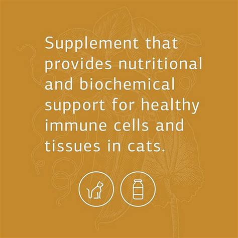 Immune System Standard Process Immune System Support