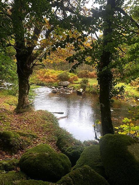 Dartmoor Retreat October 2022 Review Kay Cady Alexander Technique Teacher