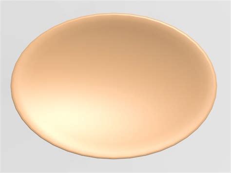 Dish 2 3d 모델 3d 모델 5 Max Fbx Dwg 3ds Obj Free3d