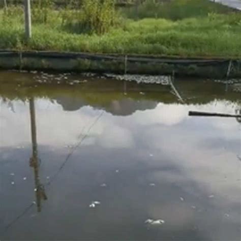 飞仔飞仔图片大山谷图库