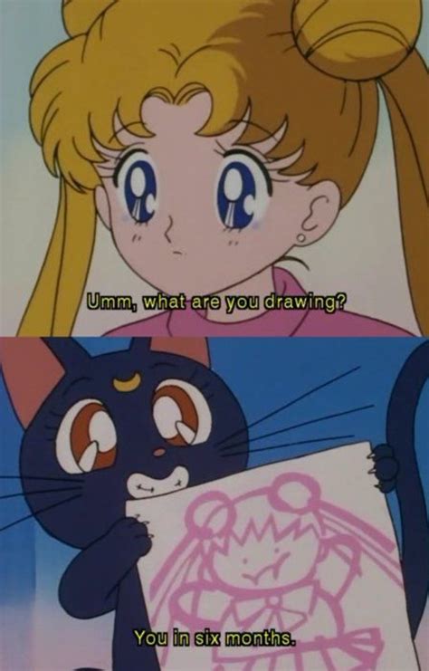 80 Relatable Sailor Moon Memes For True Fans Fandomspot