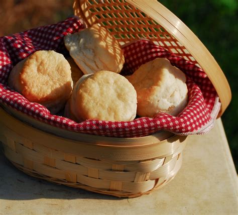 Andrews Mind Delvings Please Pass The Biscuit Basket