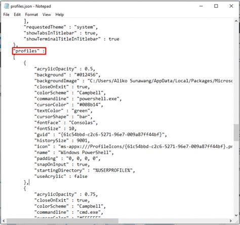 How To Install And Customize The Windows Terminal Better Tech Tips