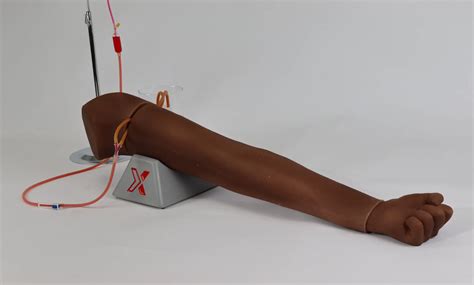 Iv Arm Advanced Venipuncture Trainer Medical X