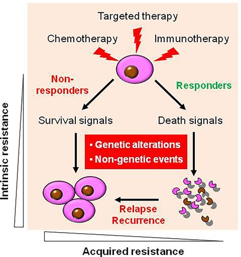 Advancements In Computer Models For Targeted Antibiotic Development