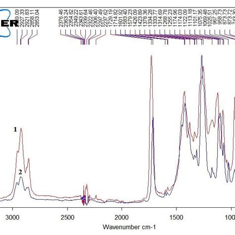 Migration Test Extent Of Migration Of Plasticizers From Flexible