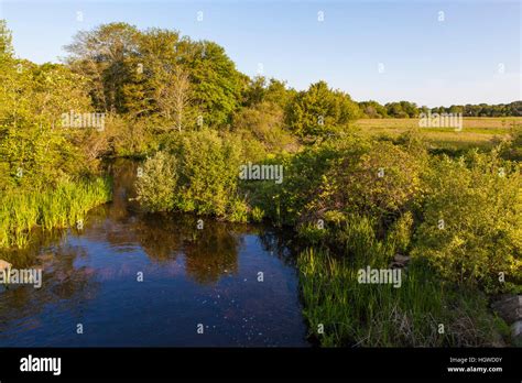 A Tributary Of The Eel River At The Eel River Apr In Plymouth