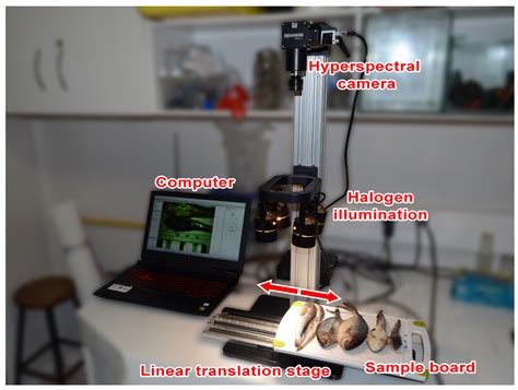 sensors free full text a spatial spectral classification method