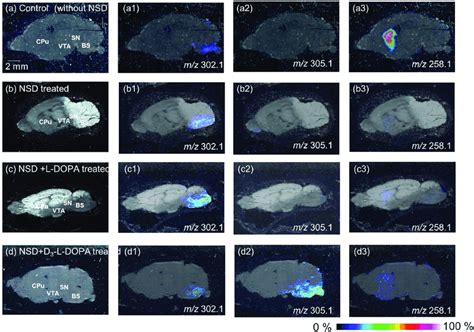Derivatized Imaging Mass Spectrometry Of Catechol Amines Optical Image