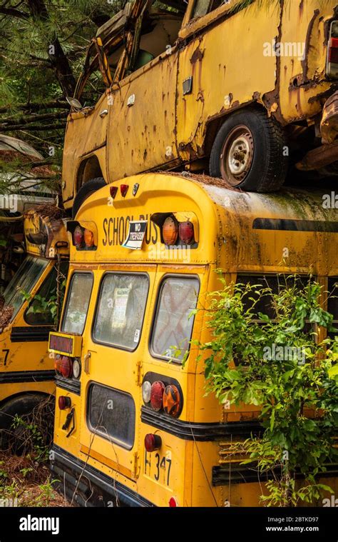 Stacked Buses At The School Bus Graveyard In Alto Georgia Usa Stock