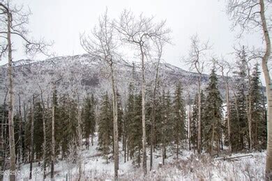 20436 Driftwood Bay Dr Eagle River Ak 99577