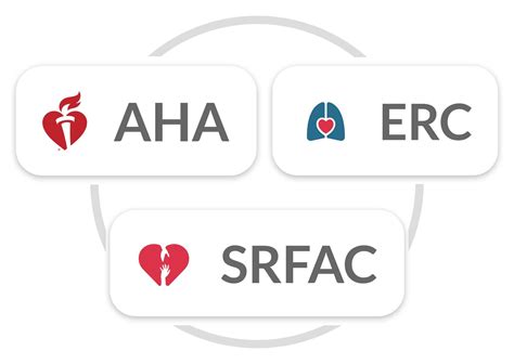 Qcpr App Laerdal Medical
