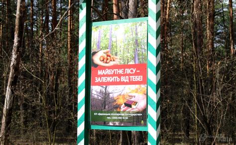 Киян попереджають про пожежну небезпеку й заборону відвідувати ліси ...