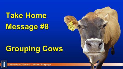 Cattle Ration Spreadsheet With Take Home Message 2 Shredlage Forage Form Ppt Video Online