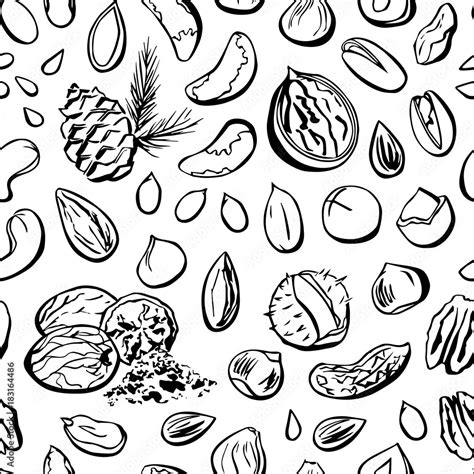 Nuts Clipart Black And White