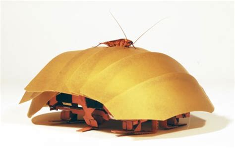 This Robot Cockroach Could Eventually Help Search And Rescue Teams