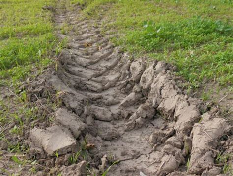 How Can I Reduce Soil Compaction And Improve My Crop Yield