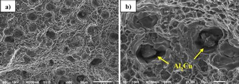 Fracture Surface Microscopic Image Of The X11 Sample A Dimple Download Scientific Diagram