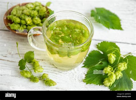 Herbal Medicinal Tea Drink Made Of Humulus Lupulus The Common Hop Or