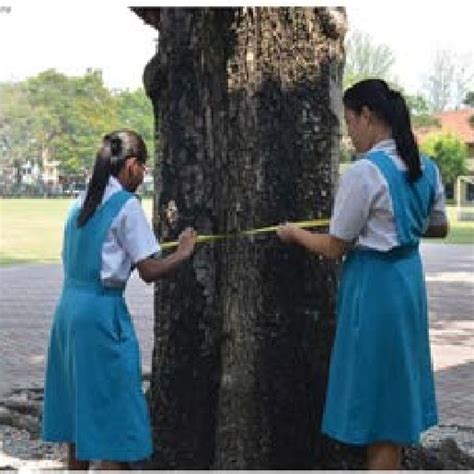 2 Babes Measuring Tree Trunk Circumference To Calculate Diameter Download Scientific