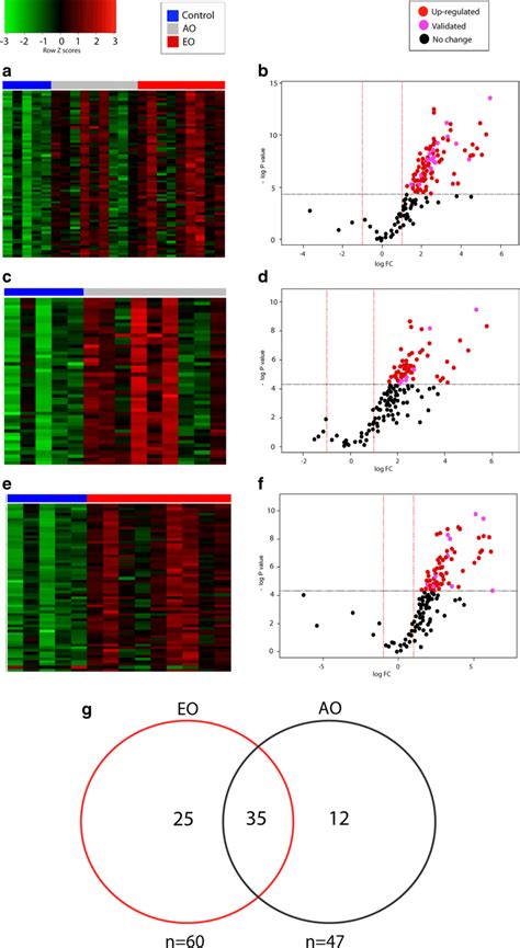 Altered Profile Of Plasma Mirnas In Sca7 Patients The Taqman Profiling Download Scientific