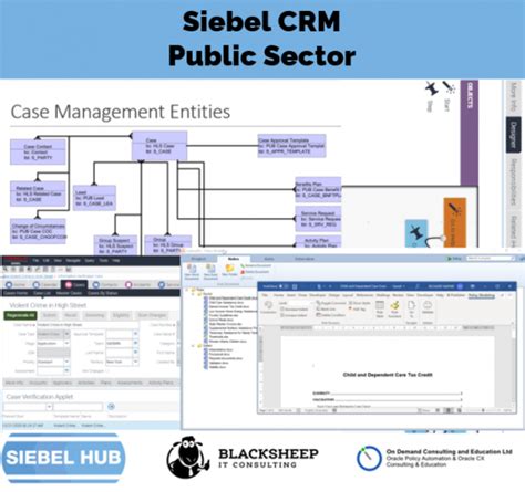 Siebel CRM Training The Siebel Hub