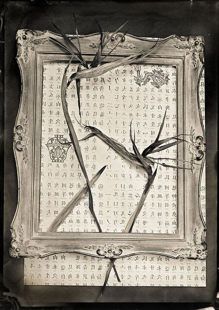 Claudia Rippee Birds Of Paradise 2021 Available For Sale Artsy